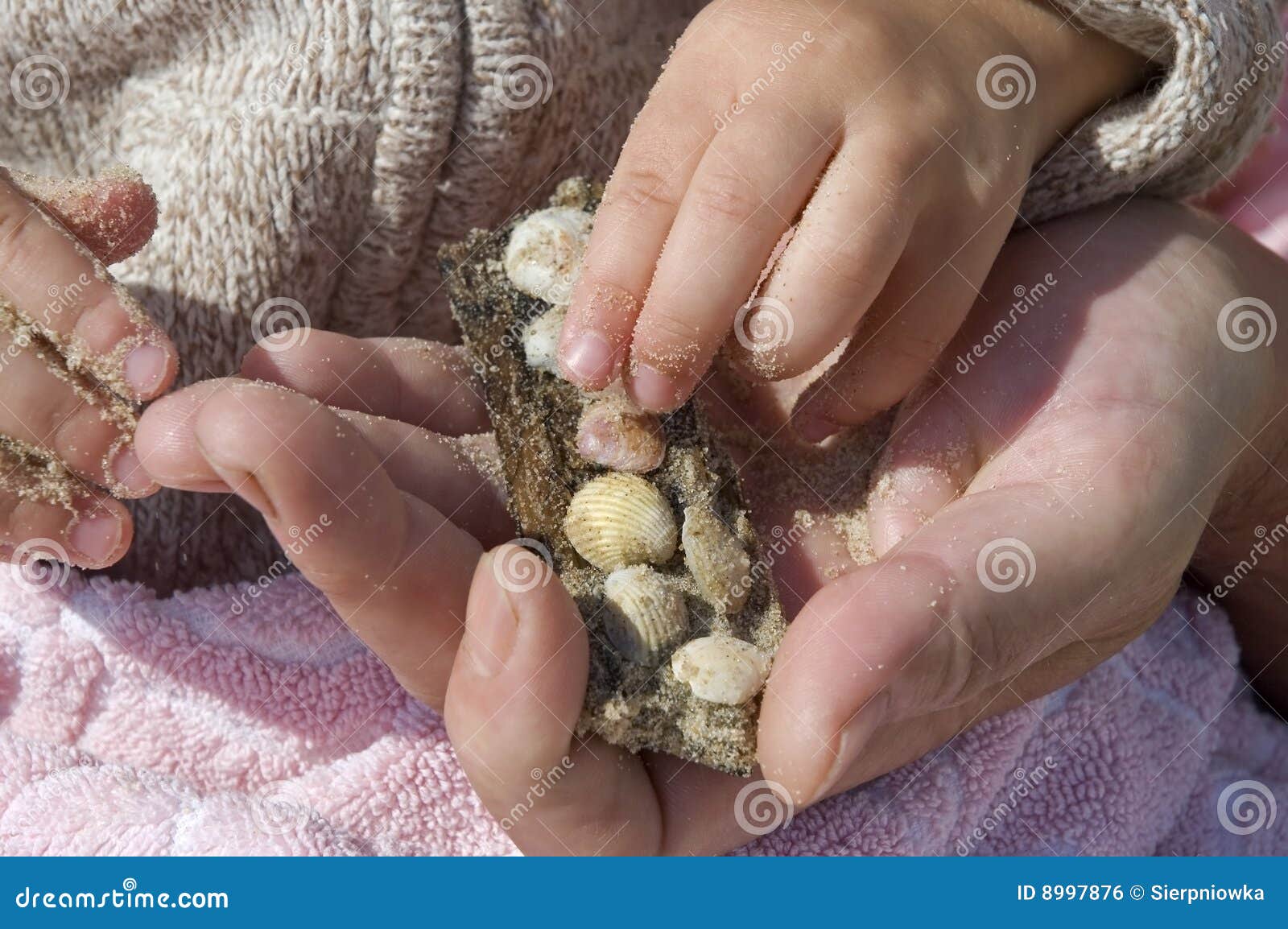 Beach Day. Hands Holding Shells Stock Photo - Image of childhood, girl ...