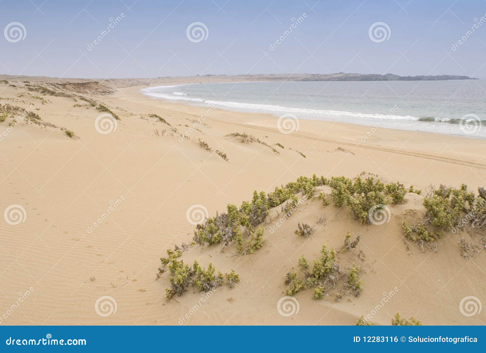 Beach and desert stock photo. Image of climate, sunlight - 12283116