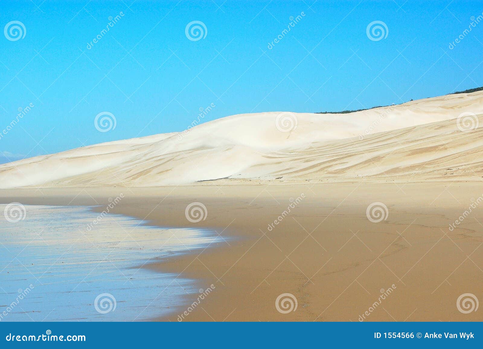 Beach desert stock photo. Image of dunes, african, desert - 1554566