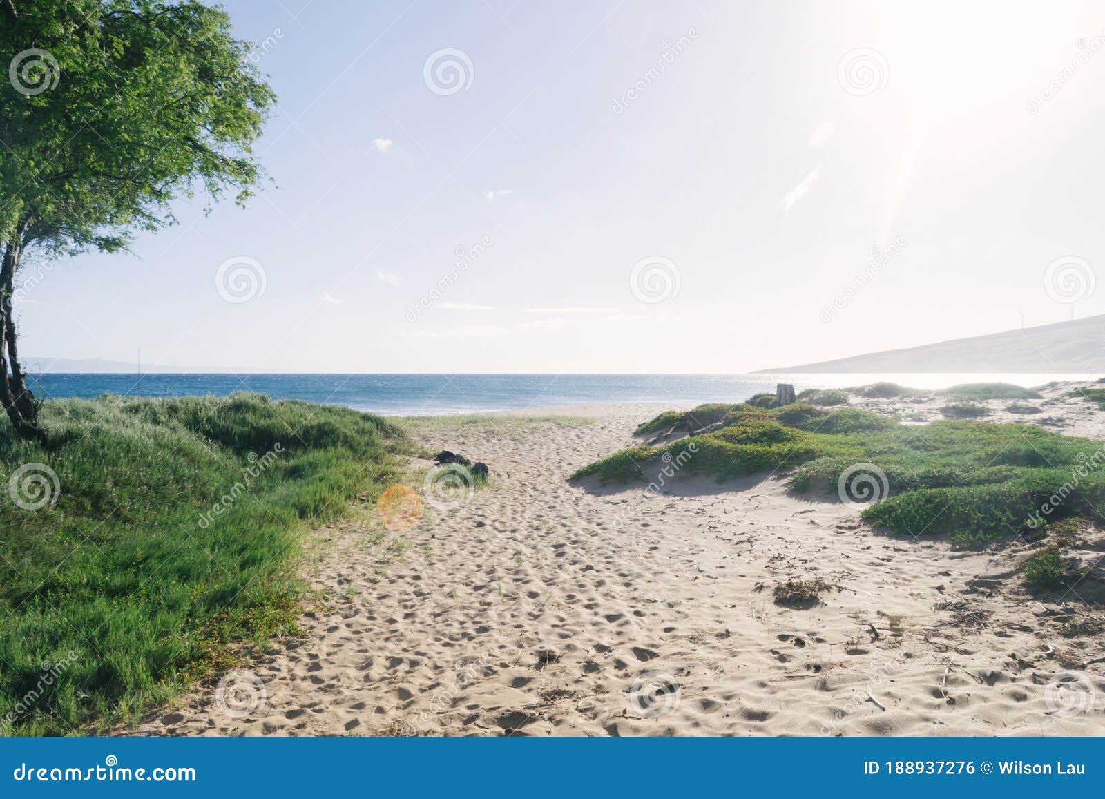 Beach Dividing Ocean and Pond Stock Photo - Image of road, dividing ...