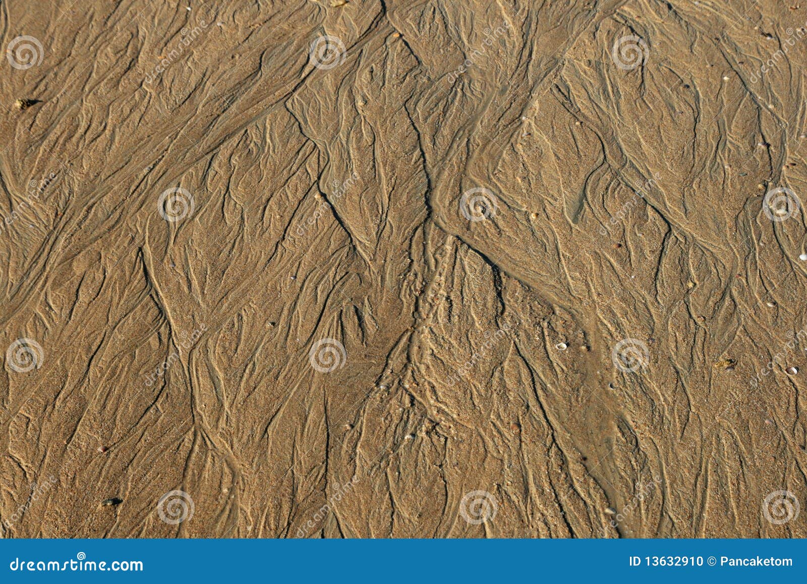 Beach drainage pattern stock photo. Image of braided - 13632910