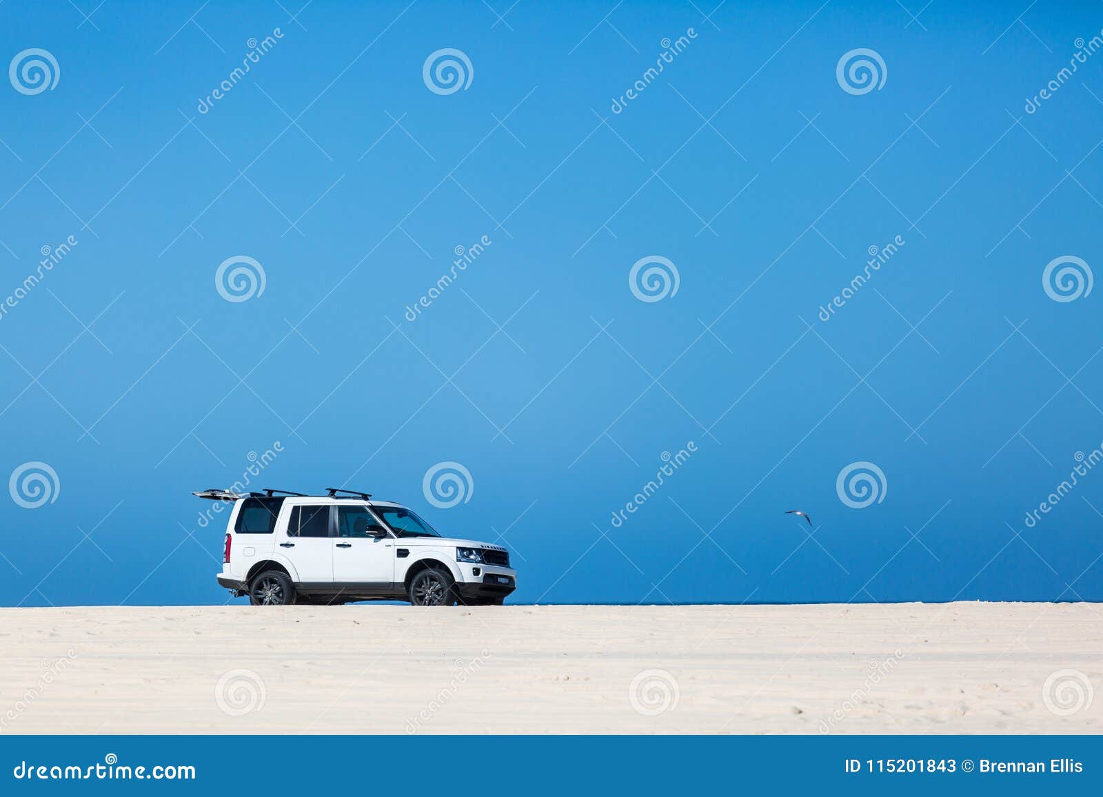 Beach Driving 4x4 editorial stock photo. Image of discovery - 115201843