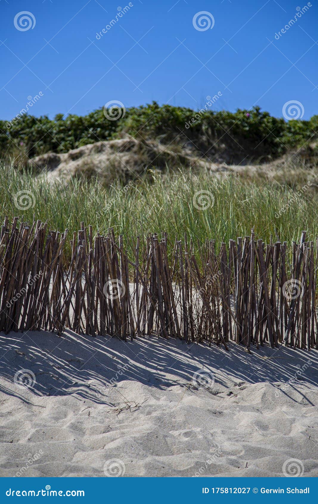 Beach and Dunes on North Sylt, Dune Protection Editorial Photography ...