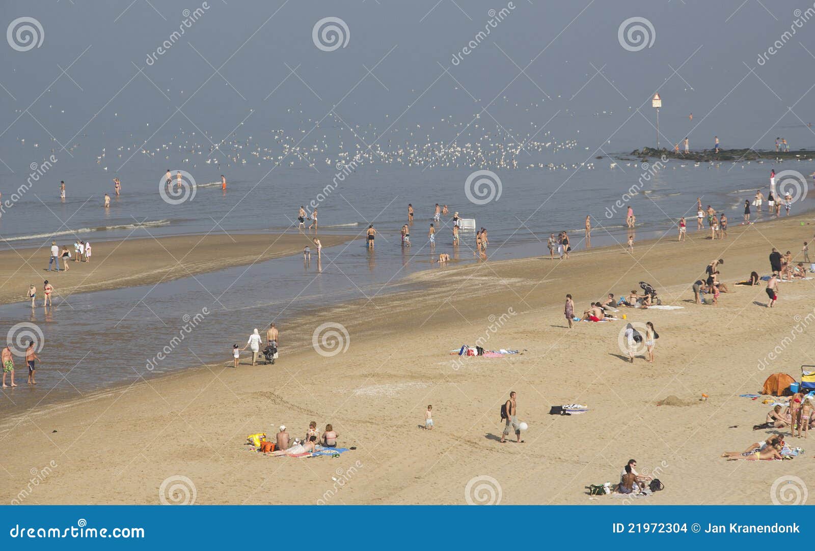 Beach on the Dutch coast editorial stock image. Image of scheveningen ...