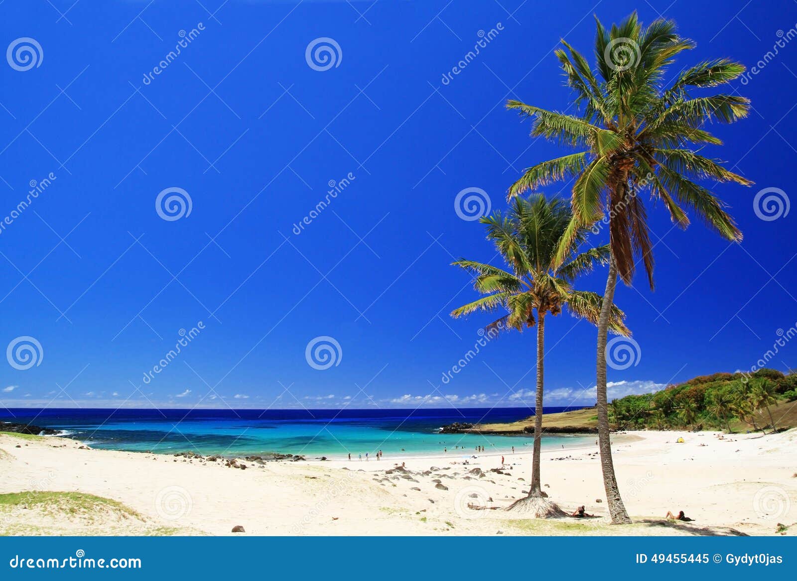 Beach in Easter island stock image. Image of chile, reserve - 49455445