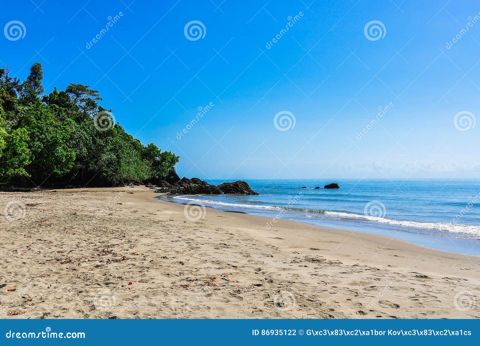 Beach in Etty Bay, Australia Stock Photo - Image of seashore, palm ...