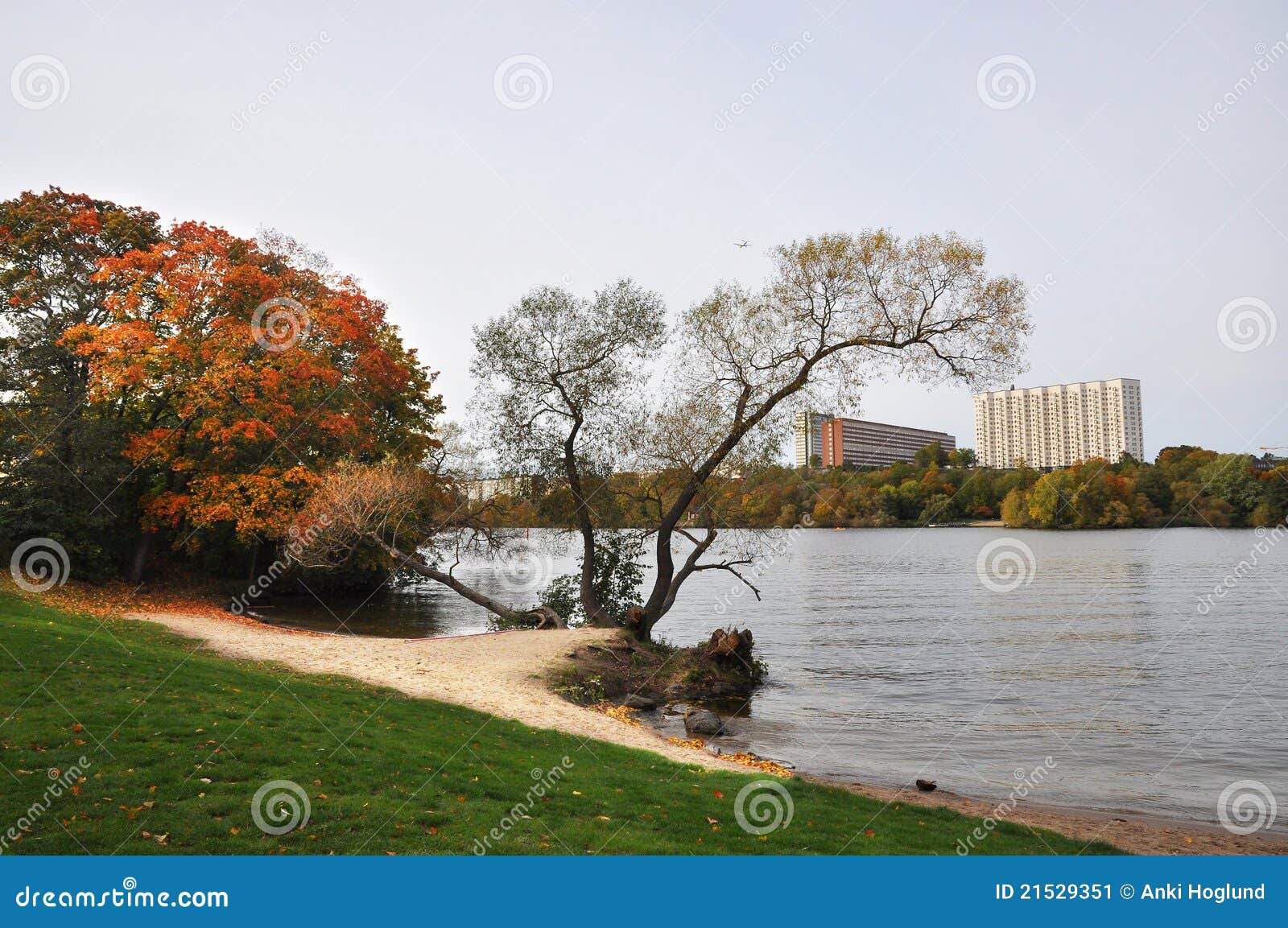 Beach in the fall stock image. Image of forest, emty - 21529351