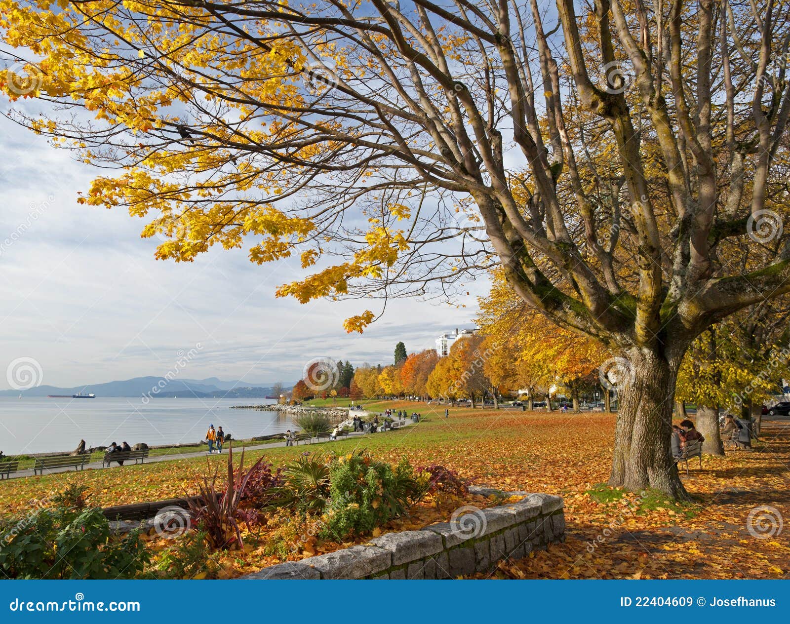 Beach in the fall colours stock image. Image of colour - 22404609