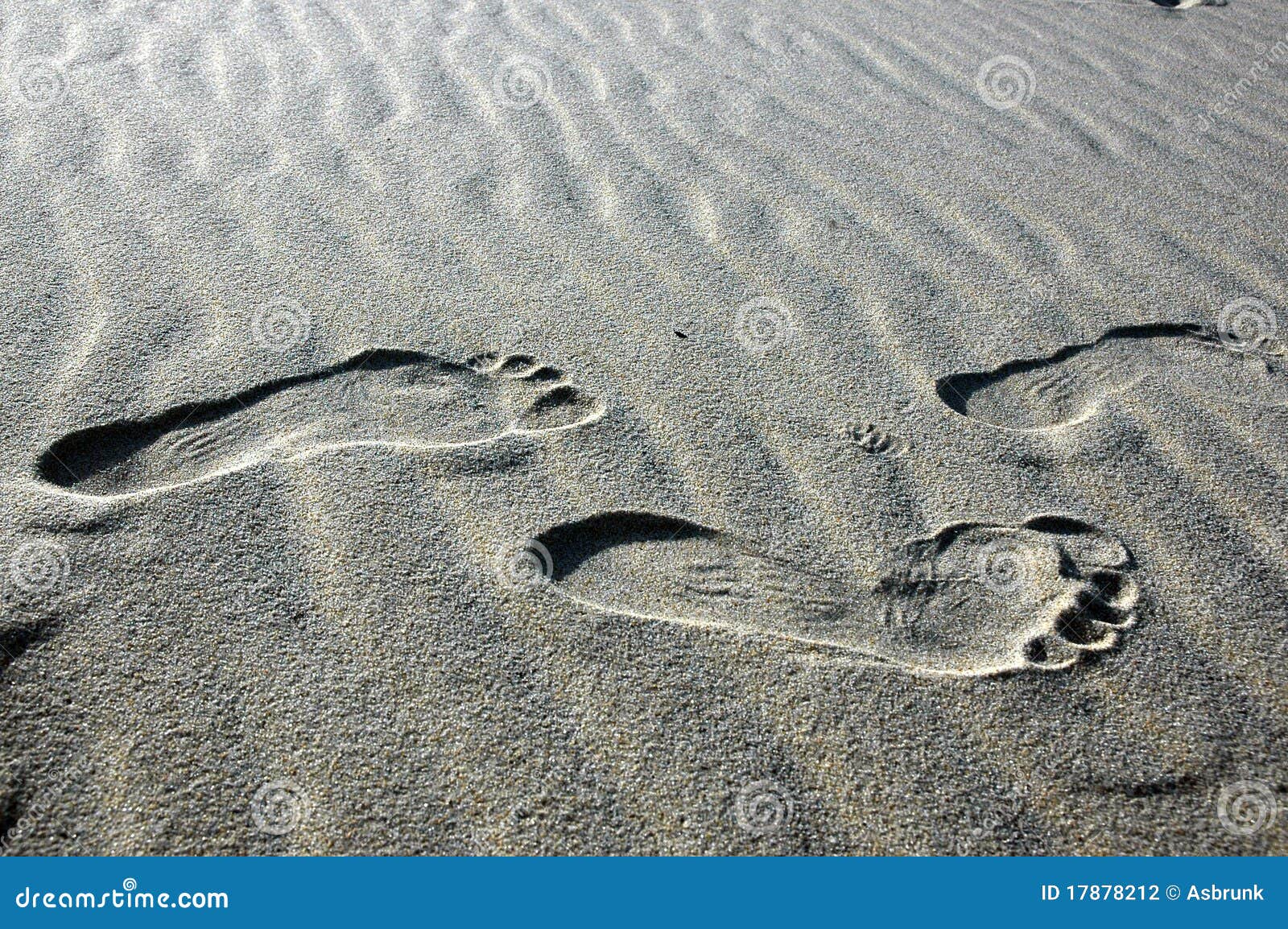 Beach Feet stock photo. Image of banks, smooth, feet - 17878212