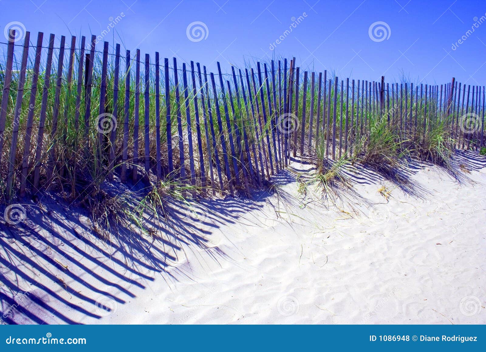 Beach Fence stock photo. Image of plank, fence, landscape - 1086948
