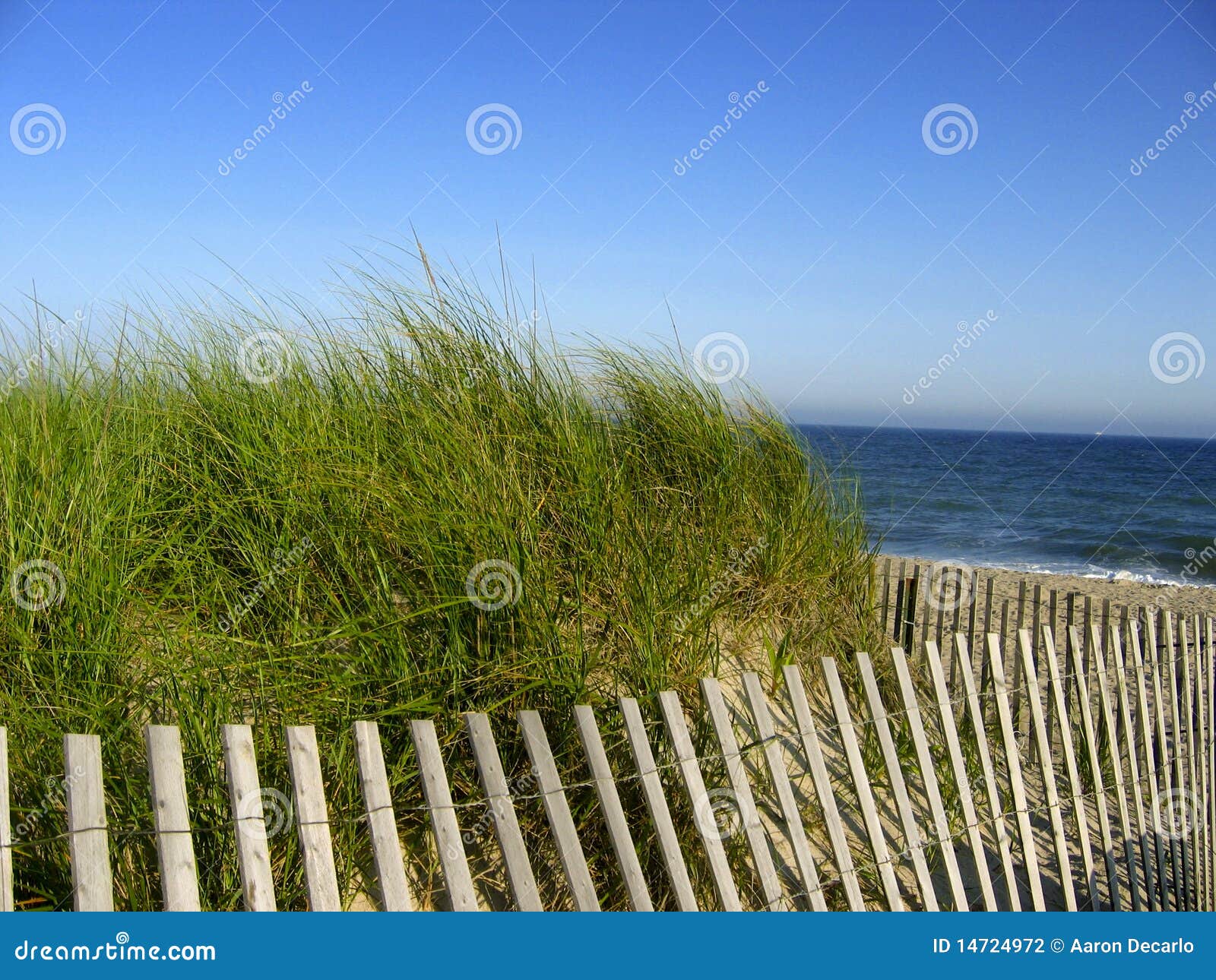 Beach Fence stock photo. Image of fence, wooden, sand - 14724972