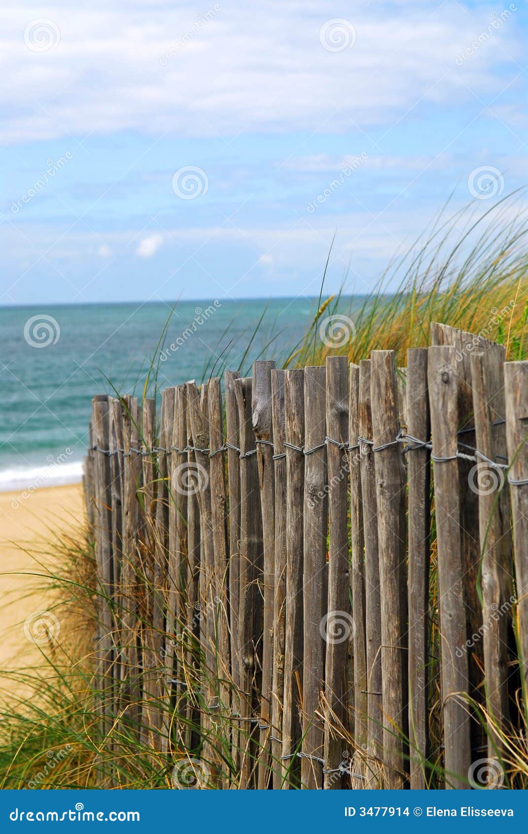 Beach fence stock photo. Image of sandy, dunes, natural - 3477914