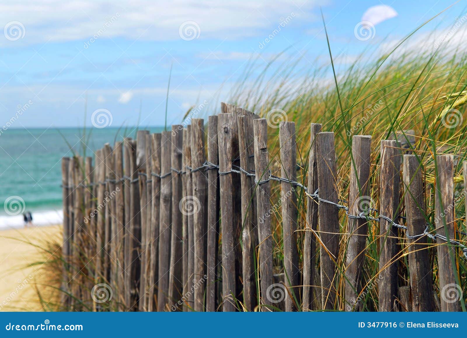 Beach fence stock photo. Image of landscape, ocean, peaceful - 3477916
