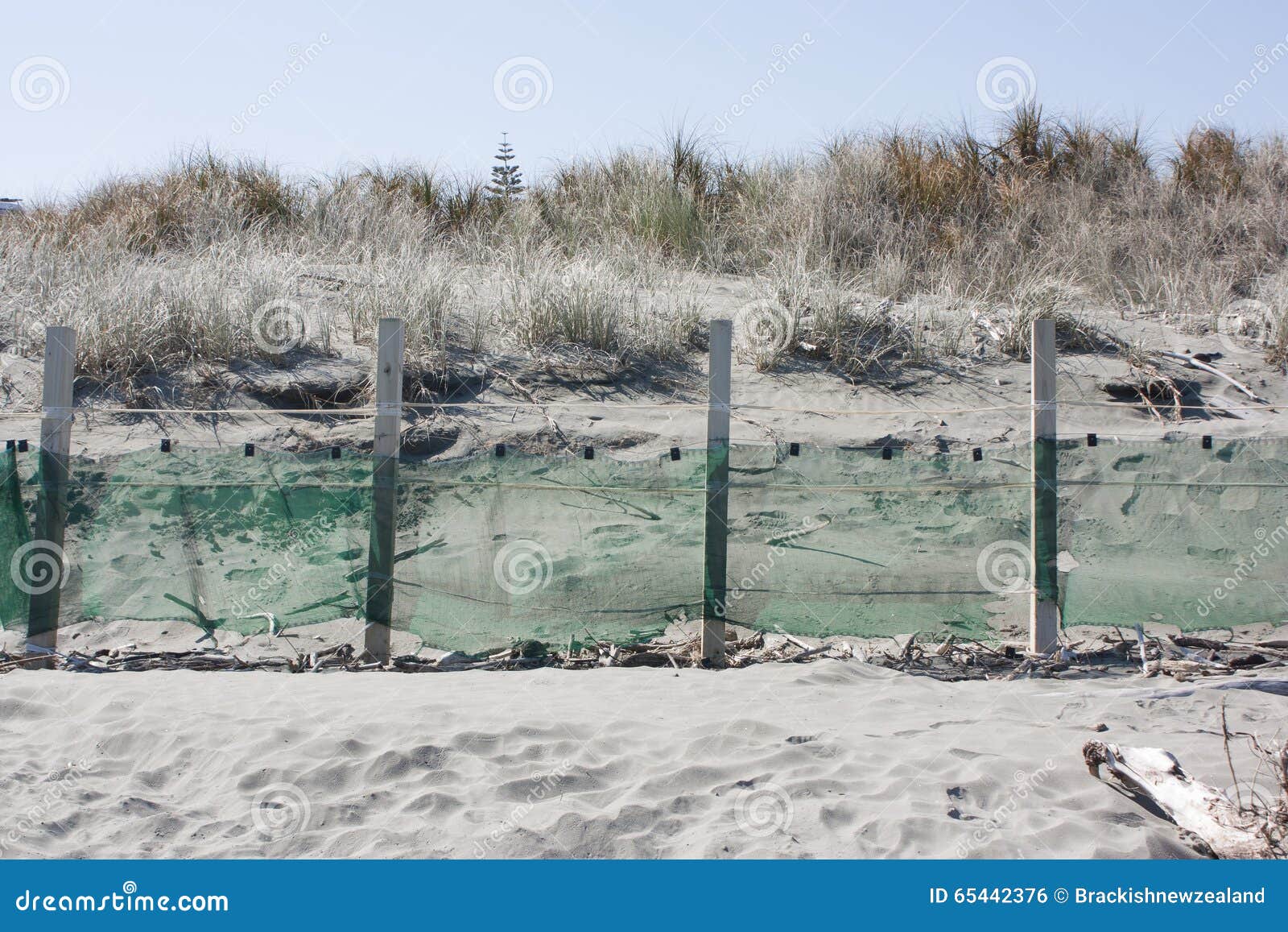 Beach fence stock photo. Image of beach, ocean, conservation - 65442376