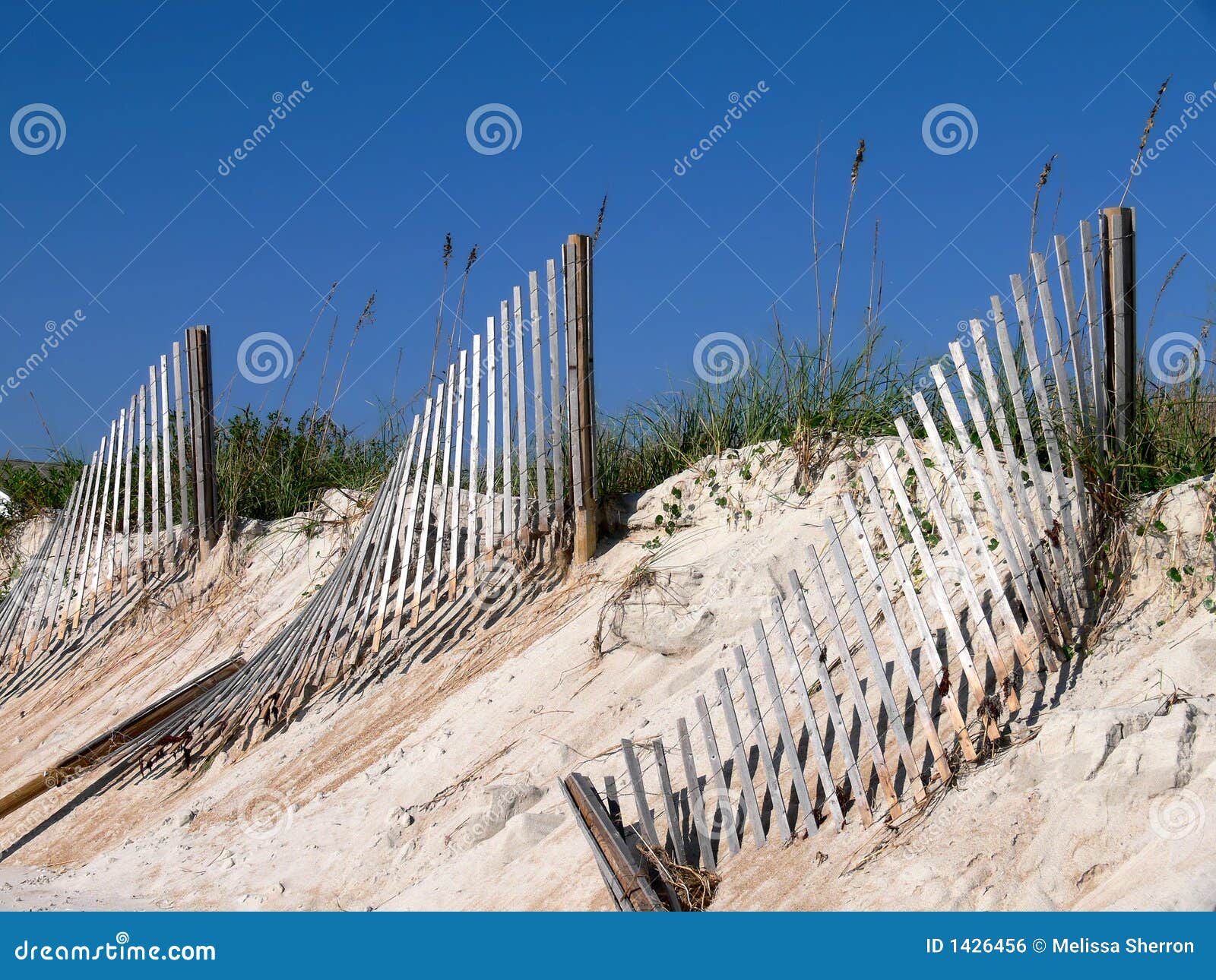 Beach Fences Royalty-Free Stock Photography | CartoonDealer.com #45065303