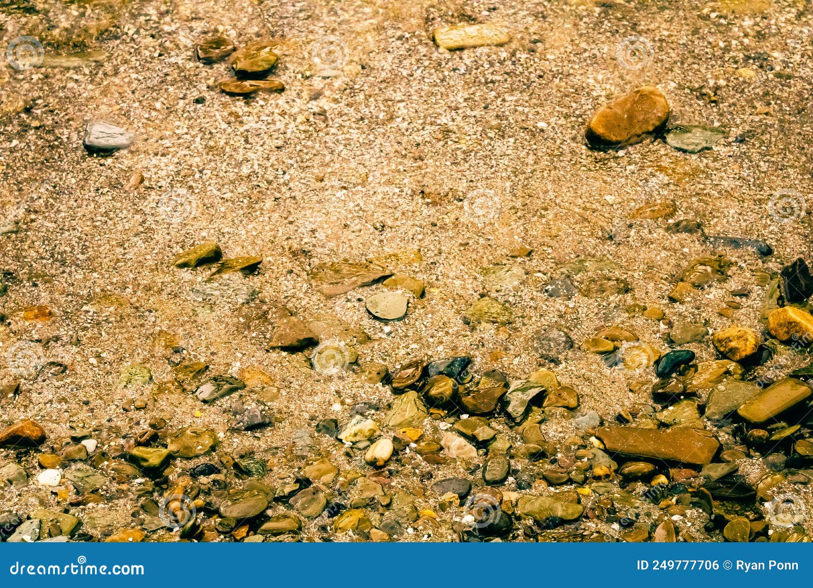 A Beach Filled with Rocks, Sand, and Broken Shells in Geneva-on-the ...
