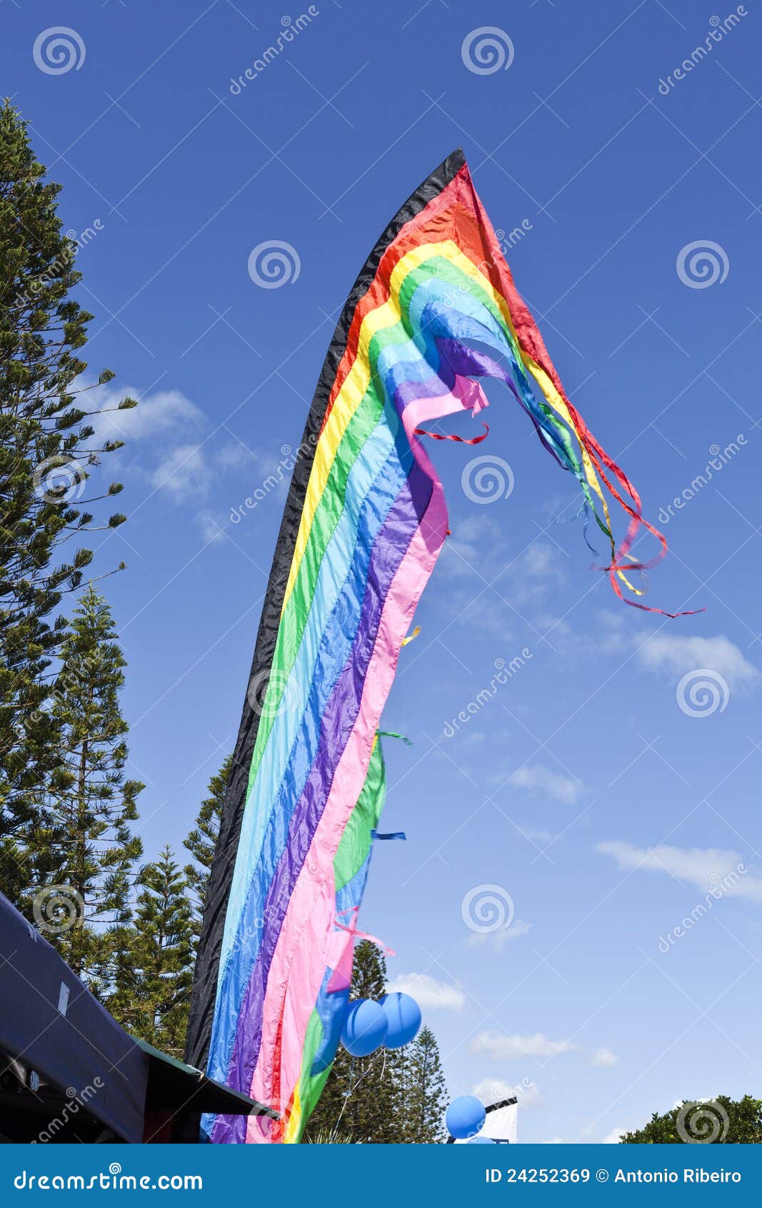 Beach Flags stock image. Image of sign, pine, tree, beach - 24252369