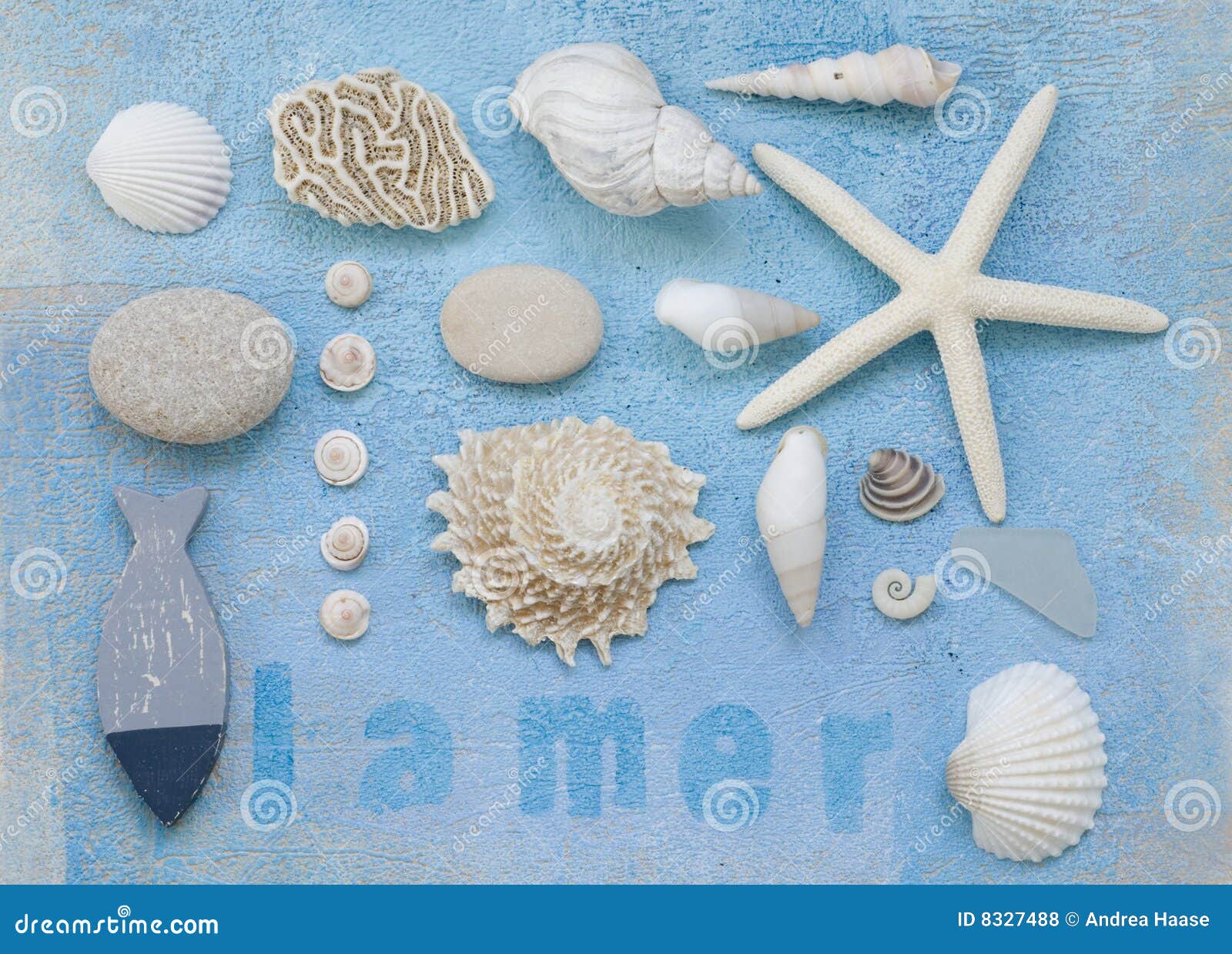 Beach Flotsam Collage Royalty-Free Stock Image | CartoonDealer.com #7323736