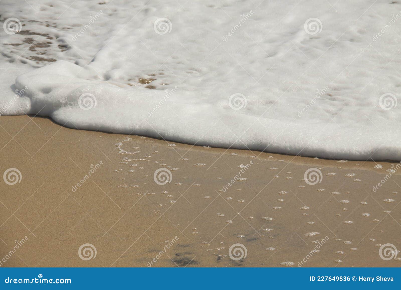 Foam on the beach stock photo. Image of blizzard, wall - 227649836
