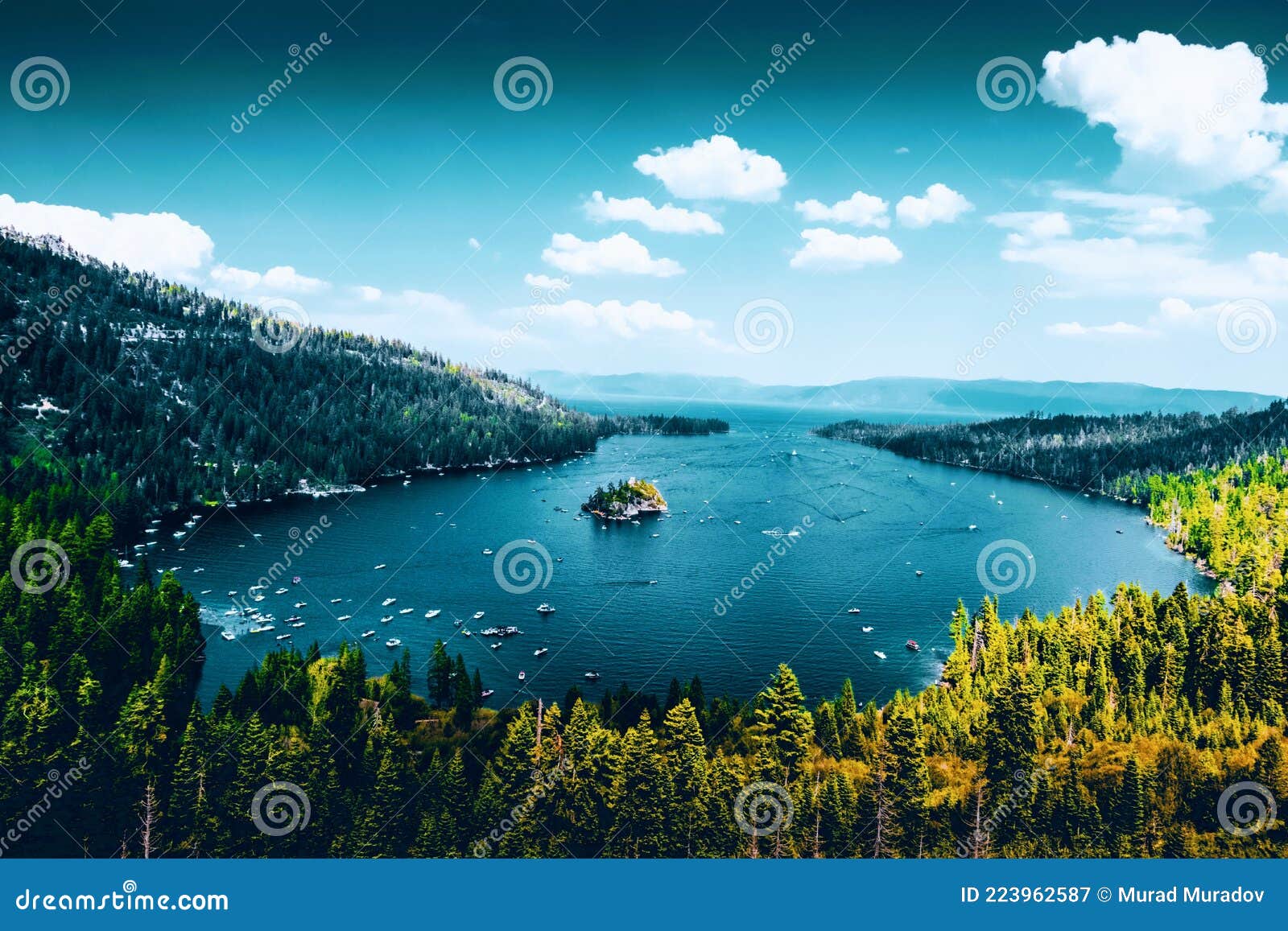 Beach, Forest, Greenery, Landscape, Seaside Stock Image - Image of ...
