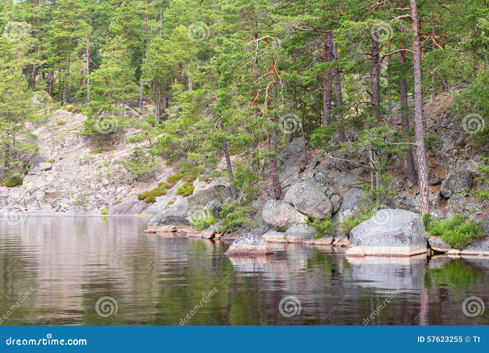 Beach at the Forest Lake with Rocks Stock Image - Image of lake, rocks ...
