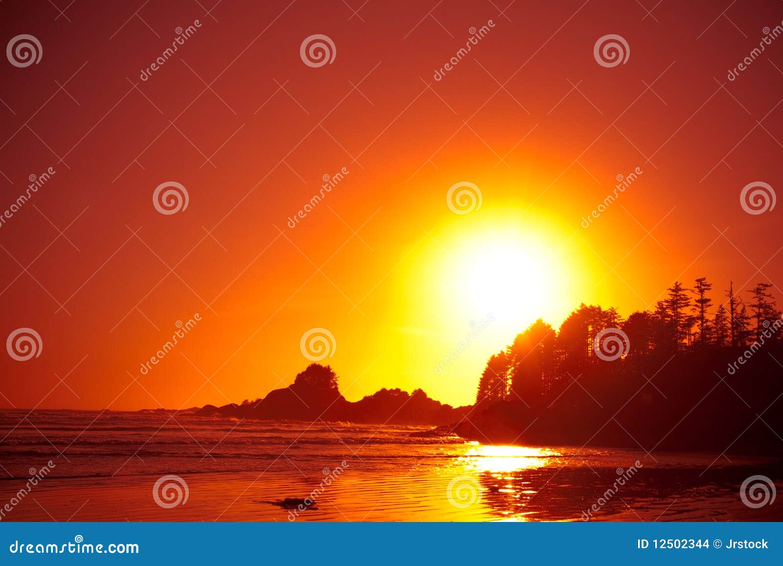 Beach and Forest Sunset stock photo. Image of green, ground - 12502344