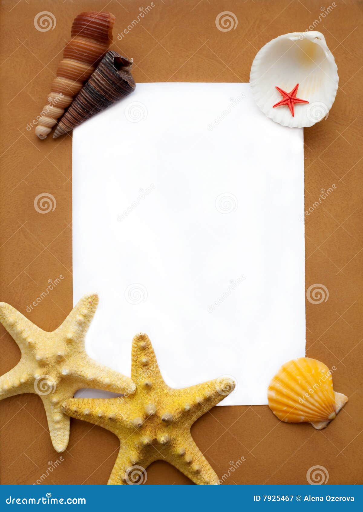 Beach frame stock image. Image of collection, leather - 7925467