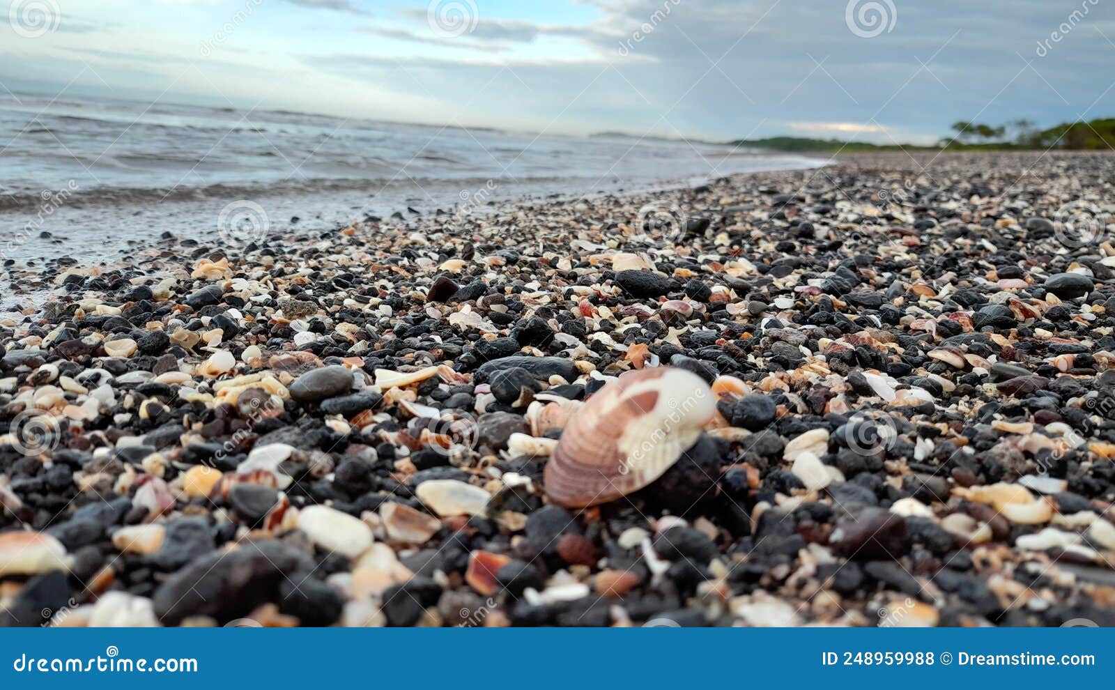 Beach Front Shell Sandy Waves Sunny Stock Photo - Image of shore, rock ...