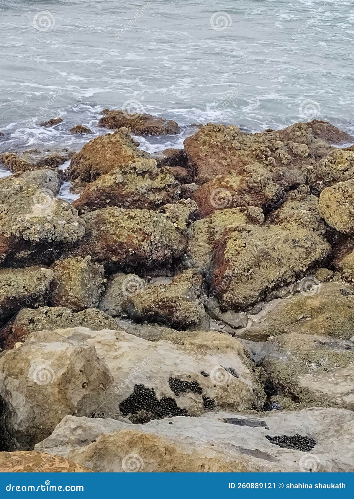 Beach stock image. Image of dand, marine, view, rocks - 260889121