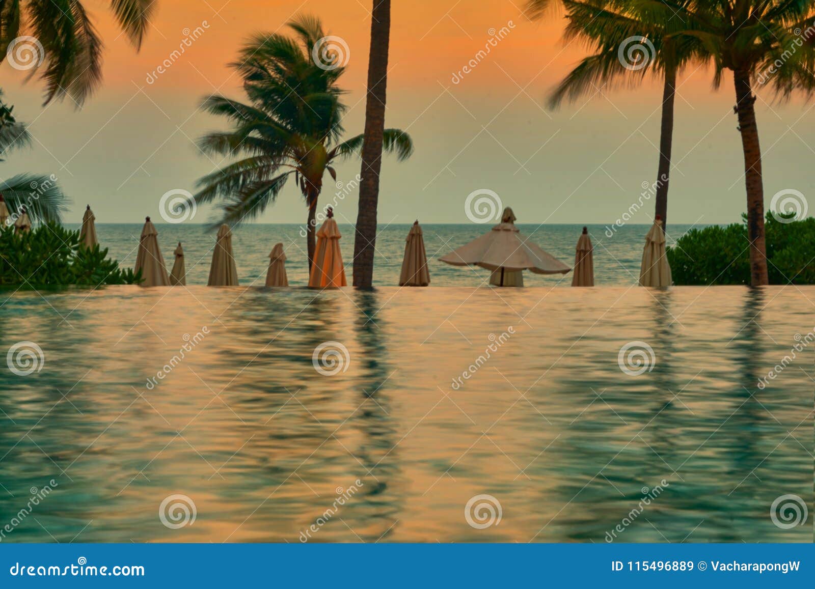 34,455 Beach Umbrella Tree Stock Photos - Free & Royalty-Free Stock ...