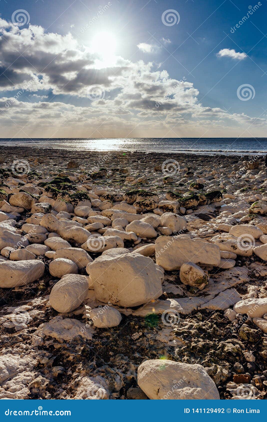 Calm beach full of rocks stock photo. Image of ocean - 141129492