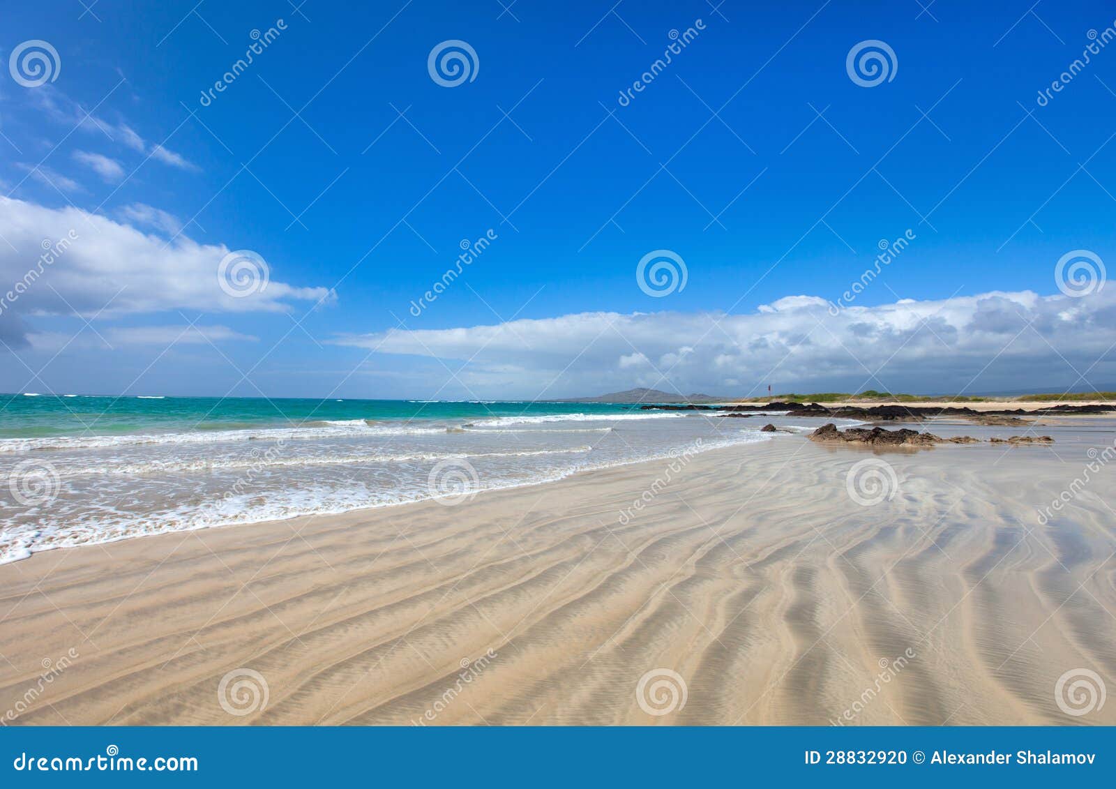 Beach on Galapagos Isabela Island, Ecuador Stock Photo - Image of ...