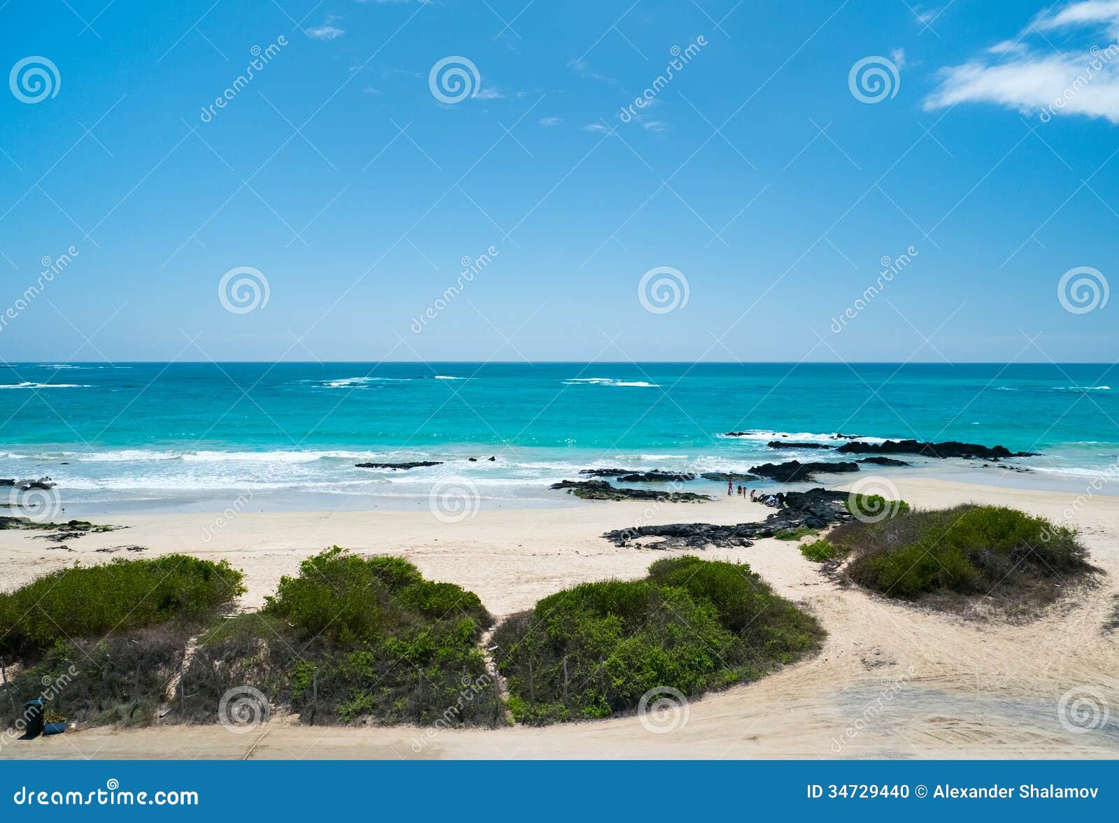 Beach on Galapagos Isabela Island, Ecuador Stock Photo - Image of ...