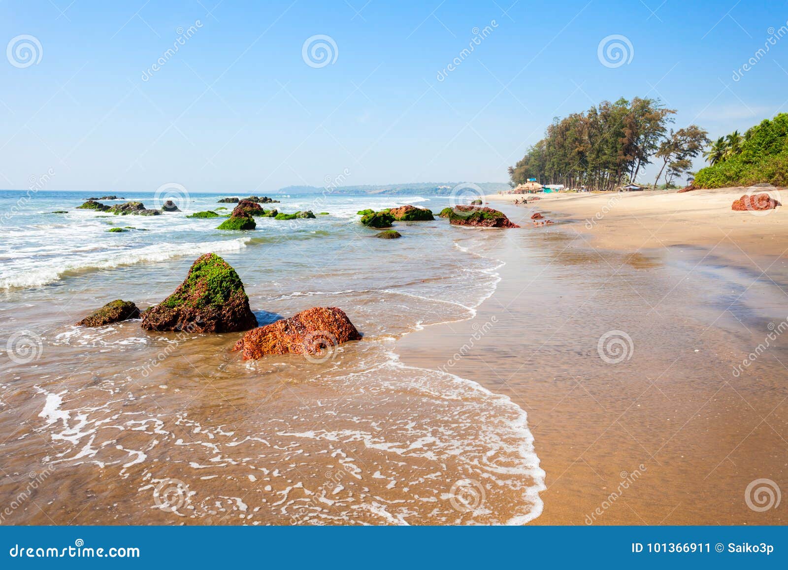 Beach in Goa, India stock image. Image of mandrem, seascape - 101366911