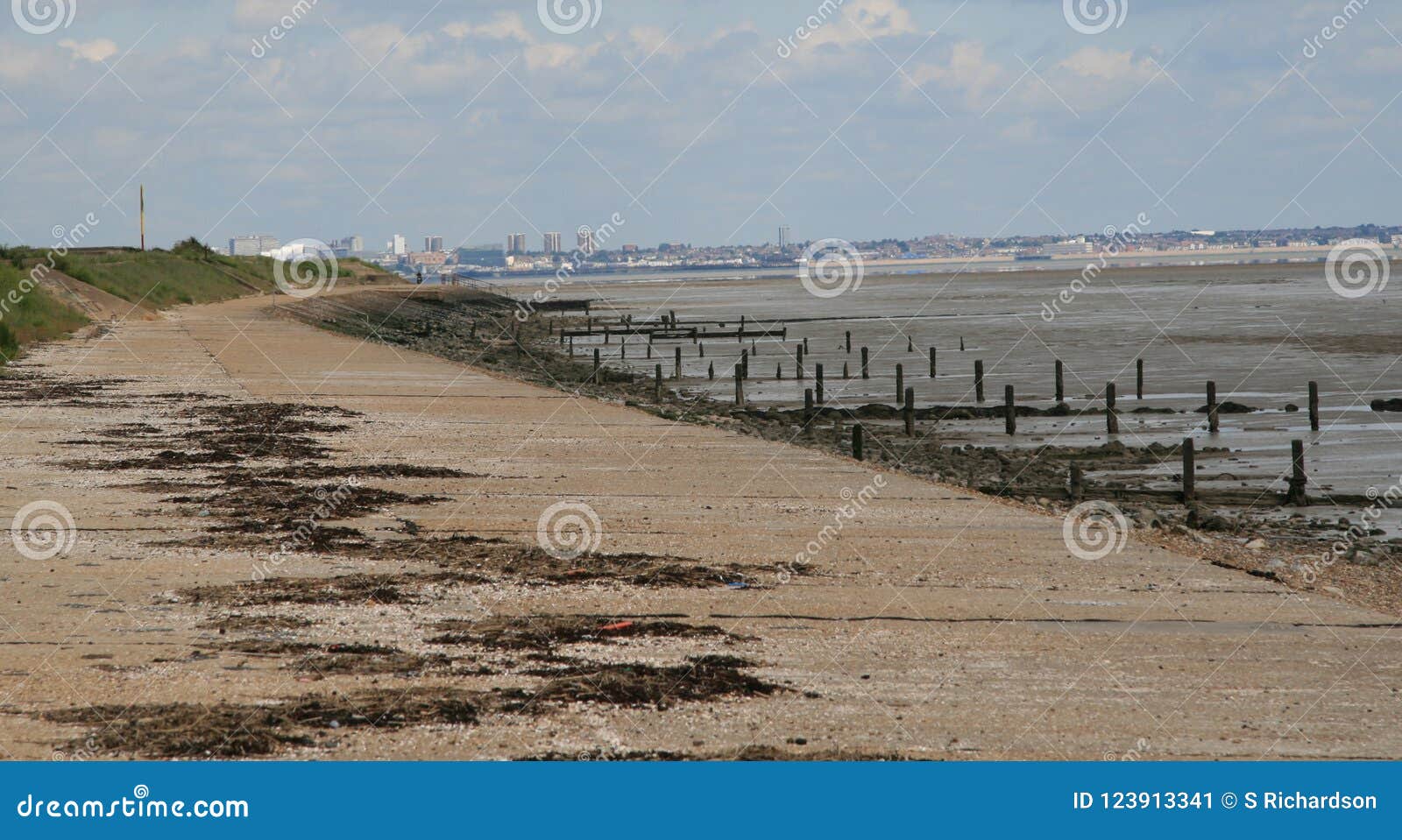The Beach at Grain stock image. Image of southend, allhallows - 123913341