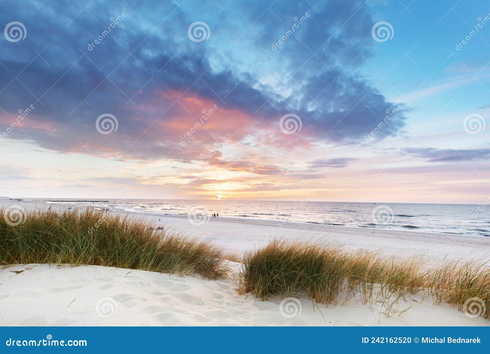 Beach Grass on Dune, Baltic Sea at Sunset Stock Photo - Image of sand ...
