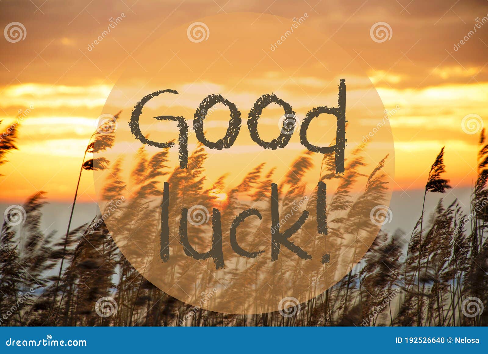 Beach Grass at Sunrise or Sunset, Text Good Luck Stock Illustration ...