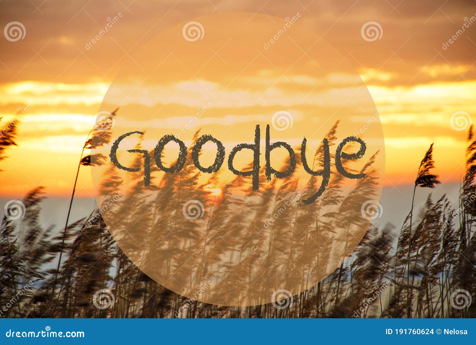 Beach Grass at Sunrise or Sunset, Text Goodbye Stock Photo - Image of ...
