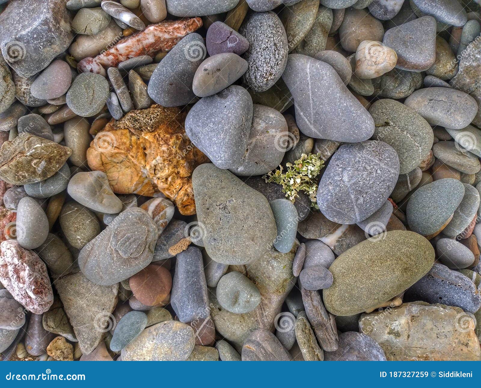 Beach Grevel Stock Photos - Free & Royalty-Free Stock Photos from ...