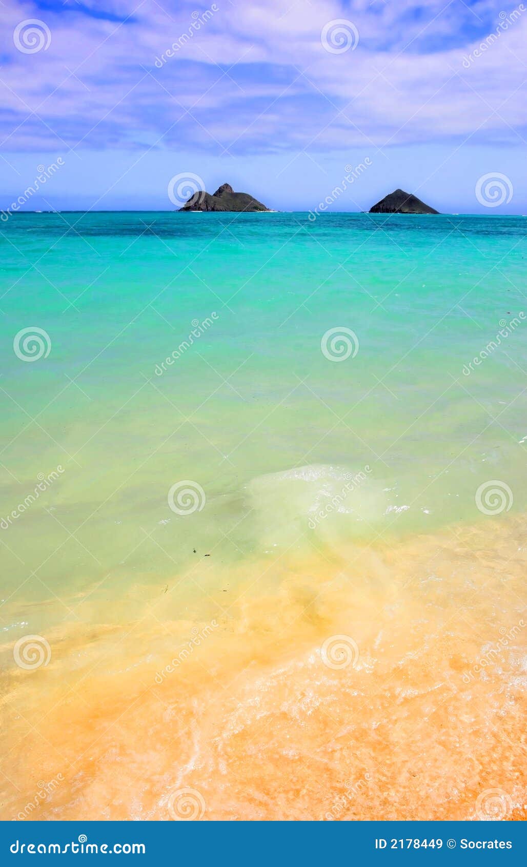 Beach of Hawaii stock image. Image of tahiti, cook, coconut - 2178449