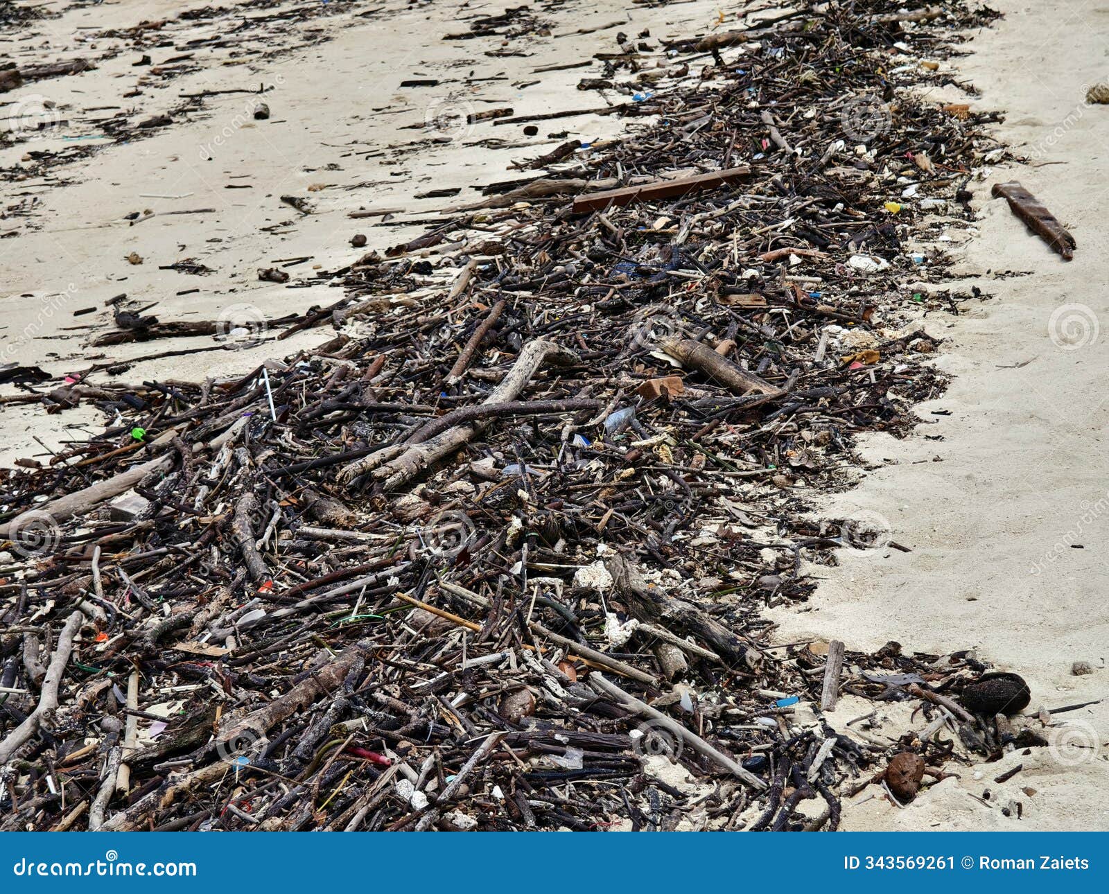A Beach Heavily Littered with Wood and Plastic Stock Image - Image of ...