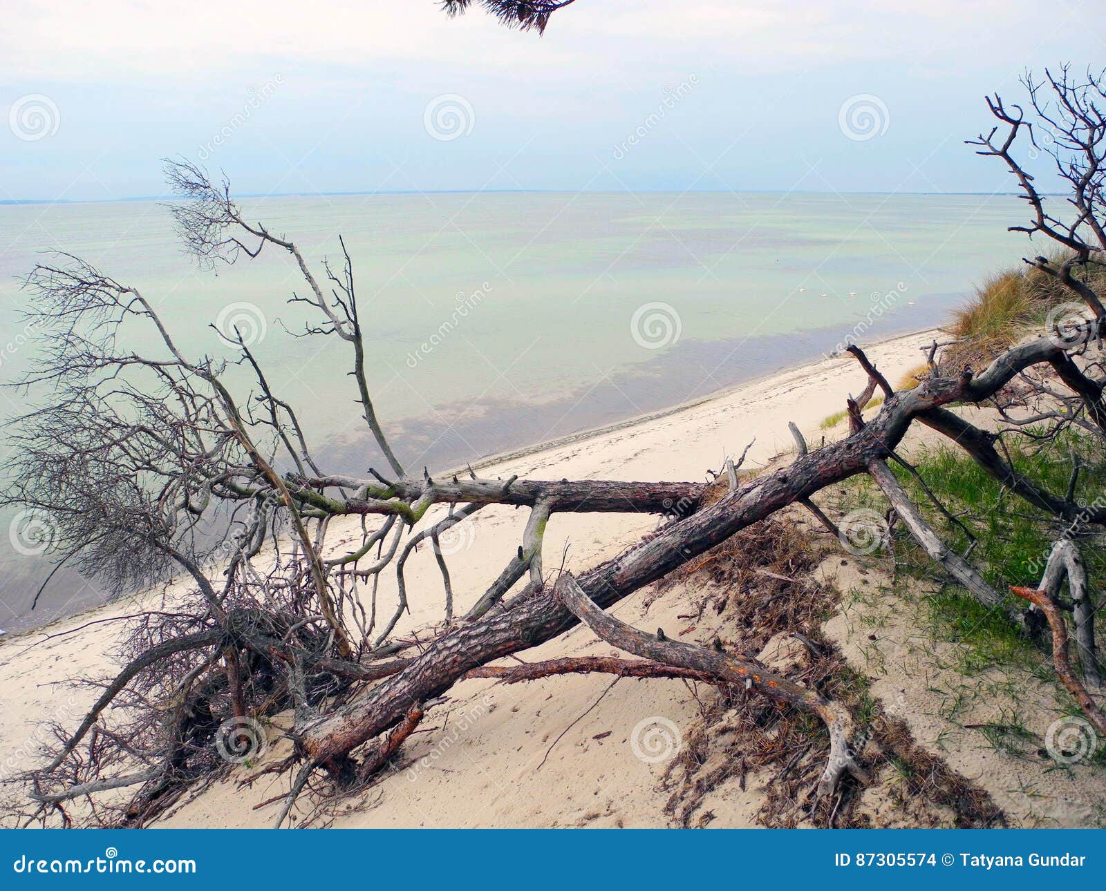 Beach Hel Spit. stock photo. Image of resort, poland - 87305574
