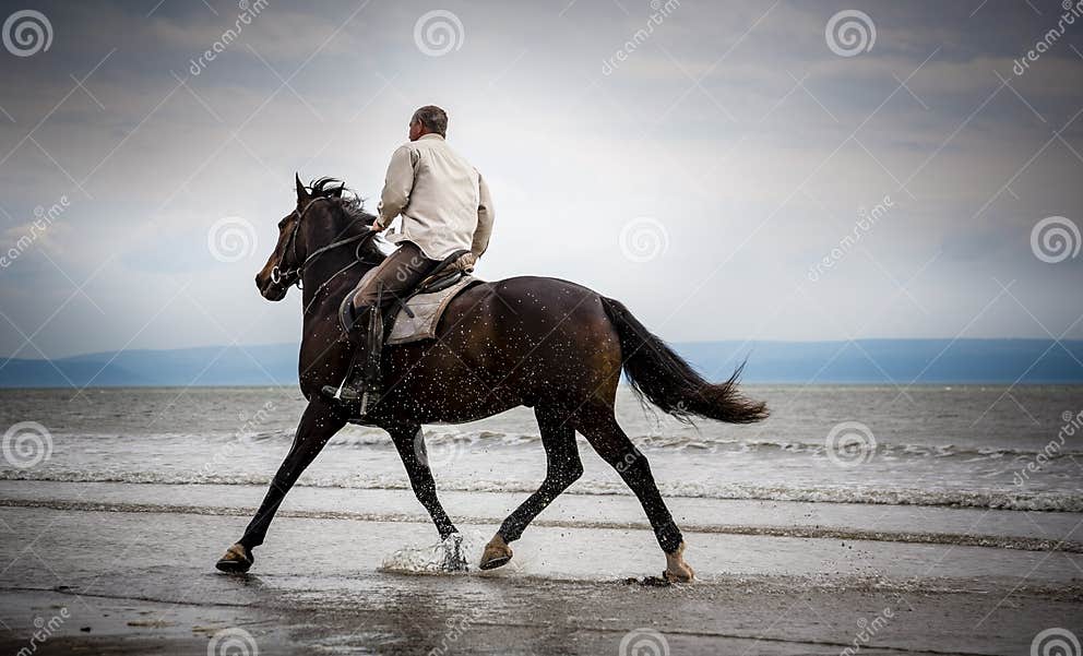 Beach horse rider stock image. Image of equestrian, exercising - 25551973