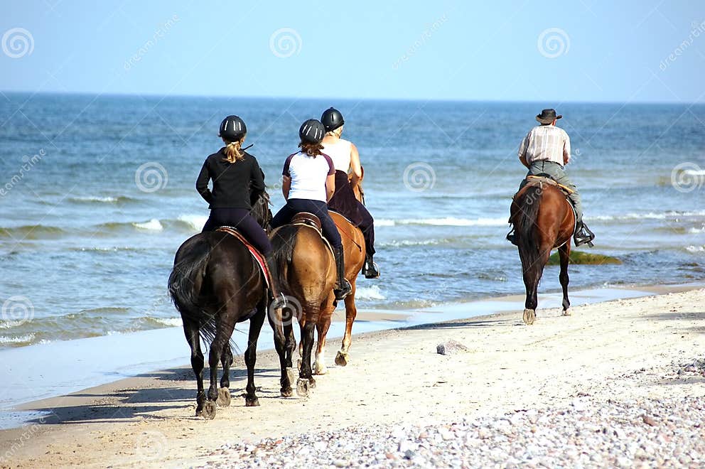 Beach horse-riding stock photo. Image of vacation, stallion - 1286490