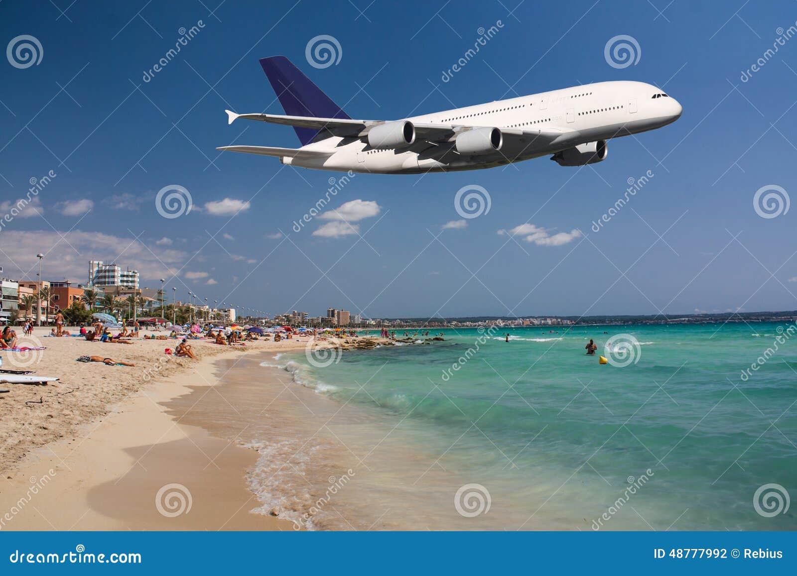 Beach stock photo. Image of flying, flight, huge, exotic - 48777992
