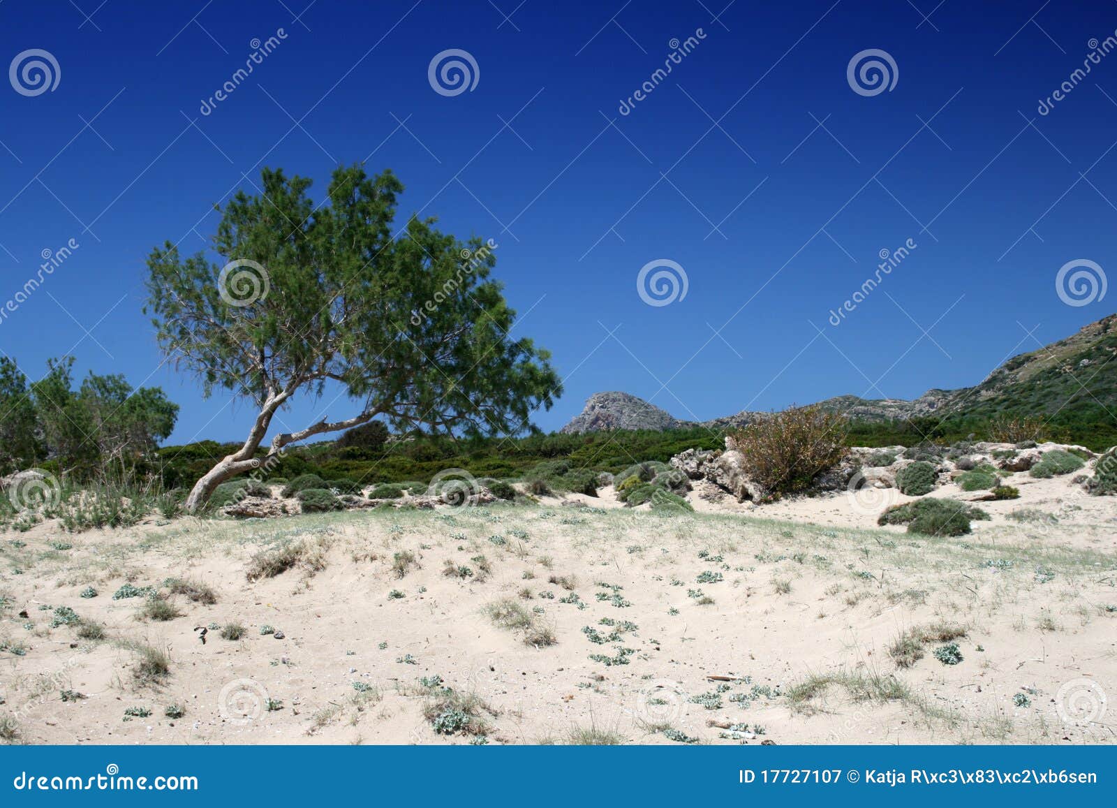 Beach idyll stock image. Image of recreation, tree, nature - 17727107