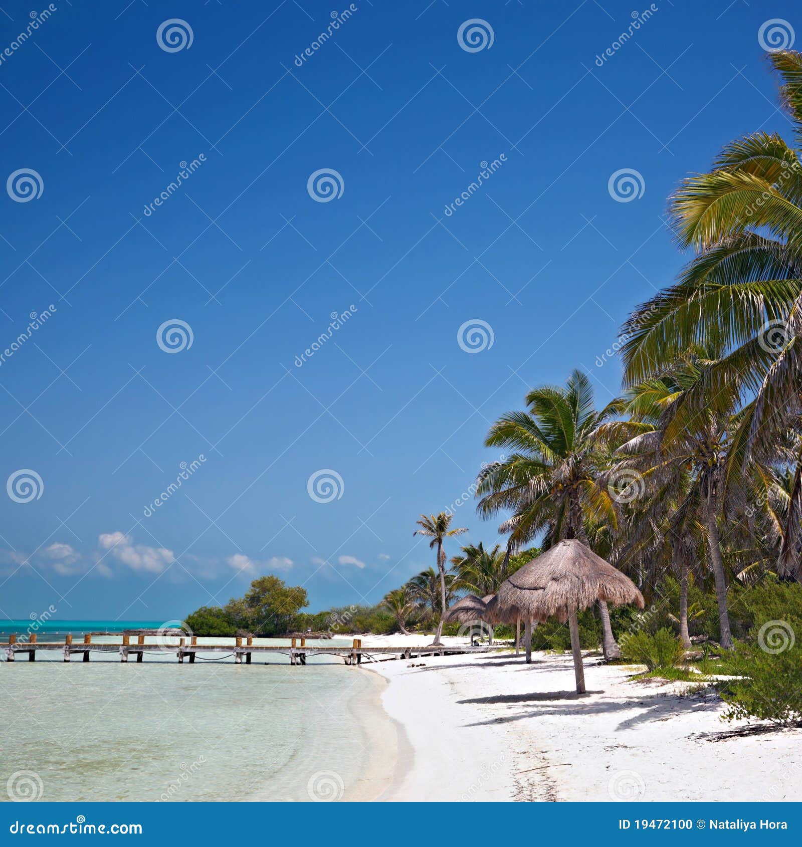 Beach on the Isla Contoy, Mexico Stock Photo - Image of sand ...