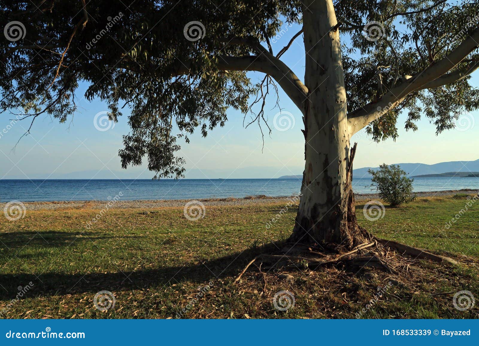 Beach in Itea stock image. Image of water, korinth, greece - 168533339