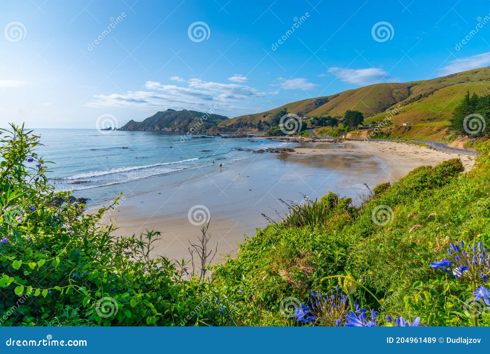 Kaka Point Beach In The Catlins, New Zealand Stock Image ...
