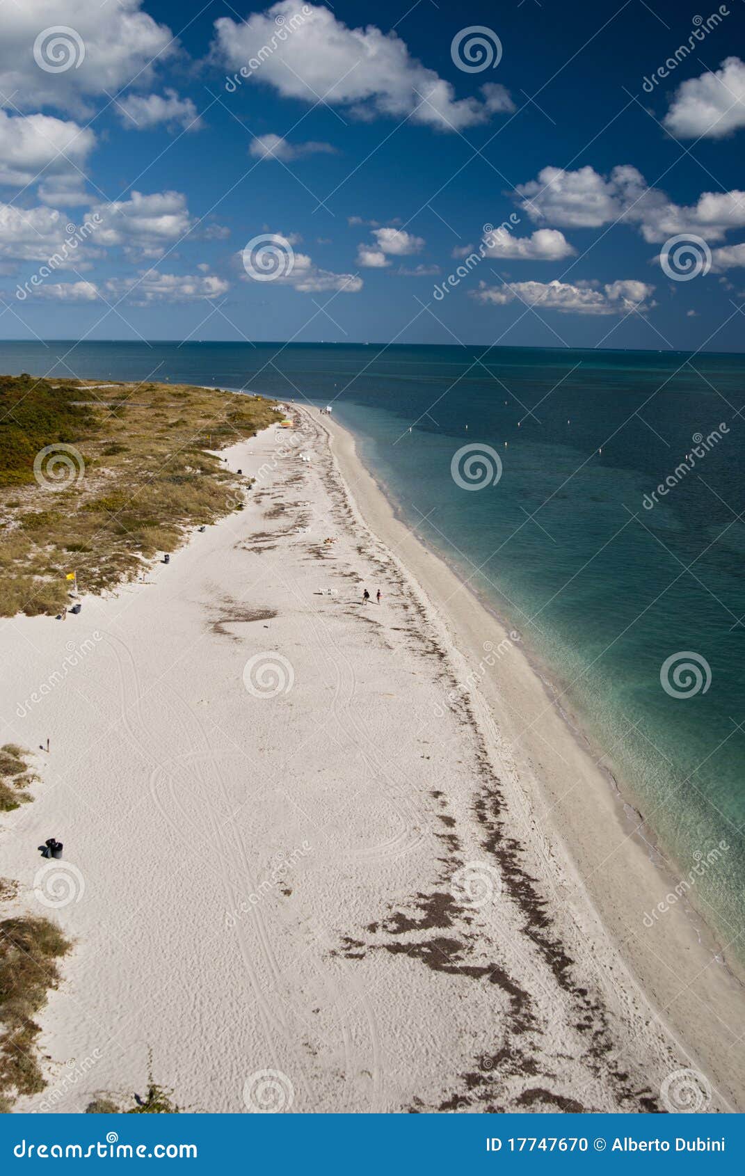 Beach at Key Biscayne stock photo. Image of nature, miami - 17747670